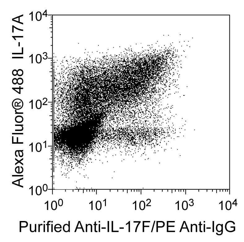 Alexa Fluor® 647 Mouse anti-Mouse IL-17F