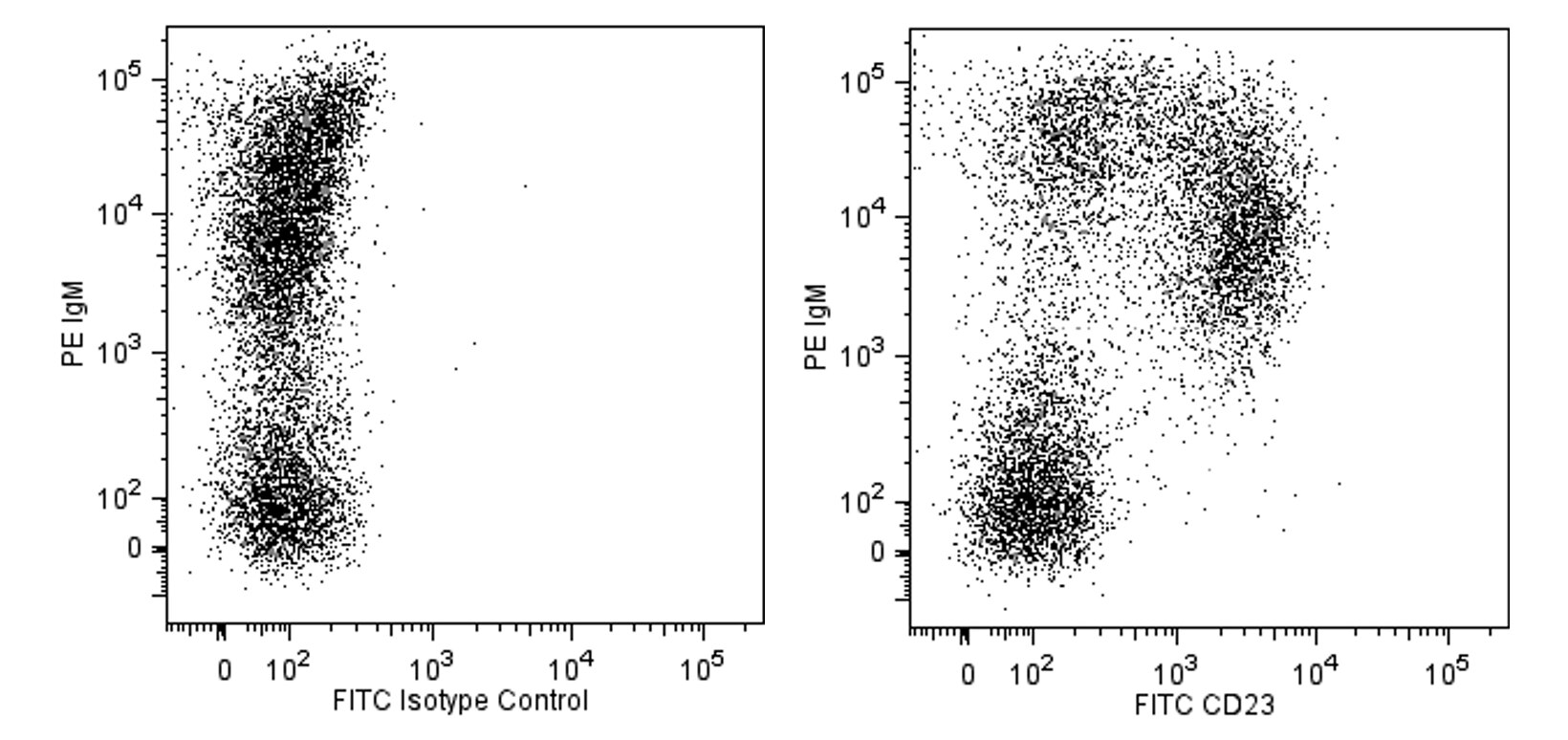 FITC Rat Anti-Mouse CD23