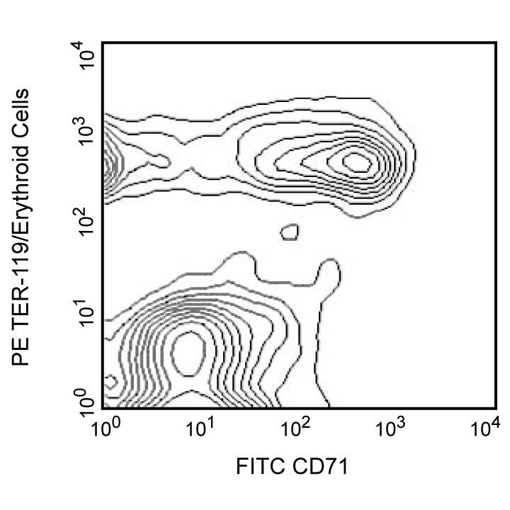 FITC Rat Anti-Mouse CD71