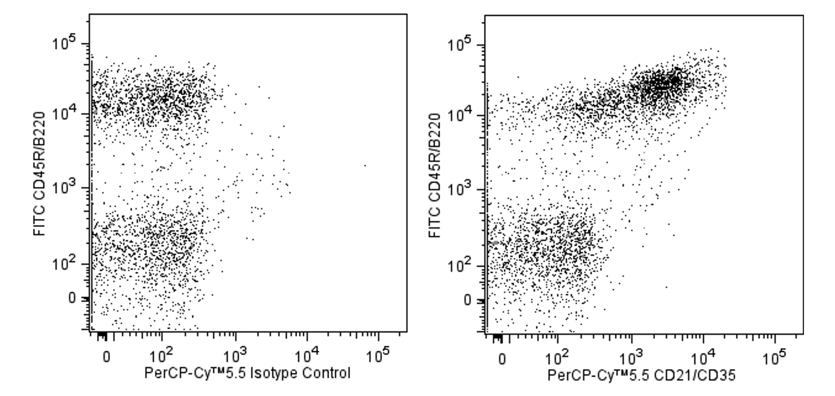 PerCP-Cy™5.5 Rat Anti-Mouse CD21/CD35