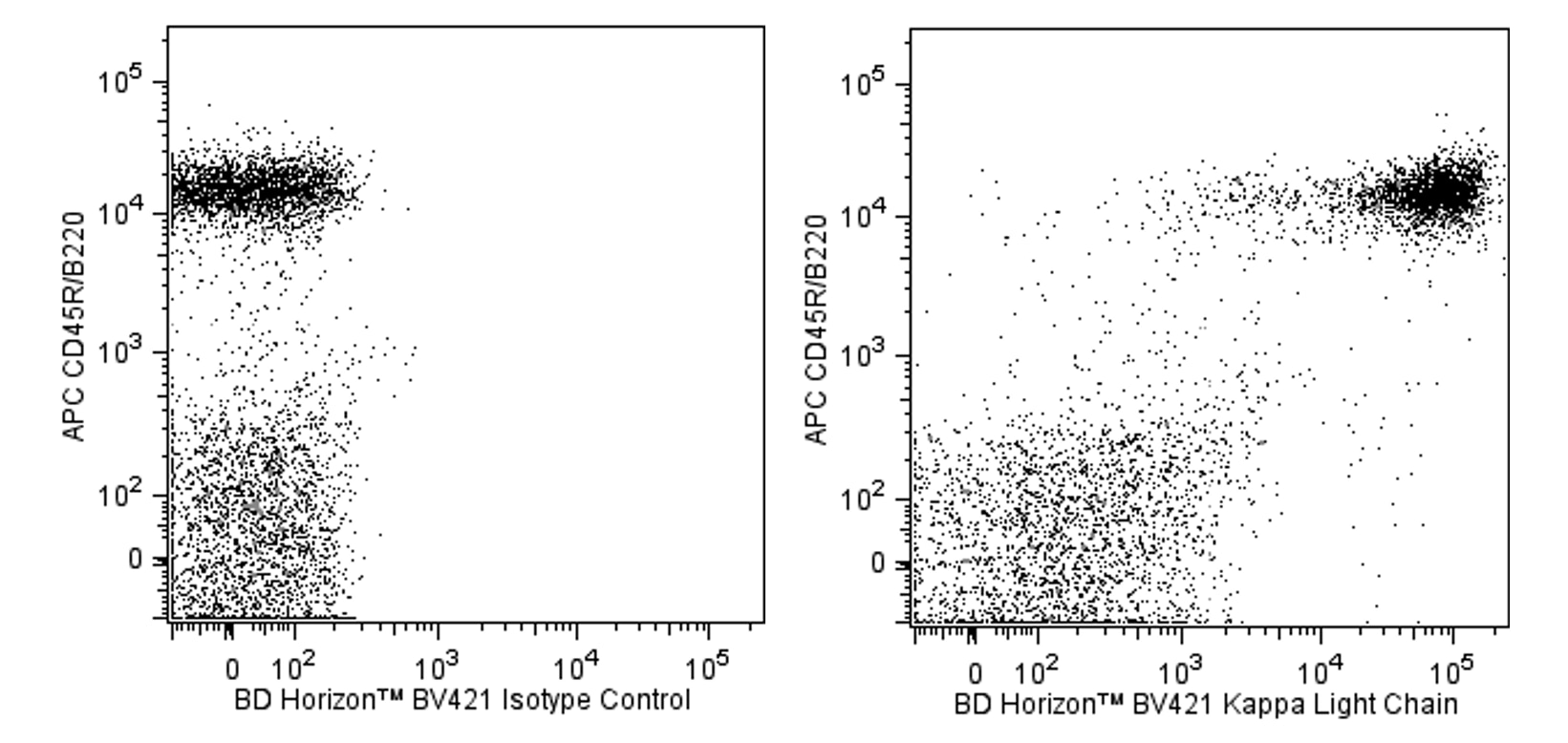 BV421 Rat Anti-Mouse Ig, κ Light Chain