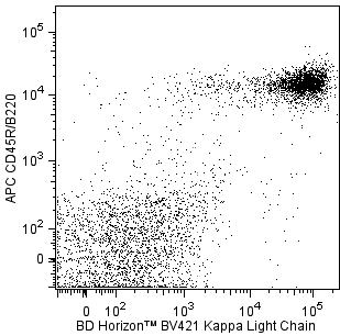 BV421 Rat Anti-Mouse Ig, κ Light Chain