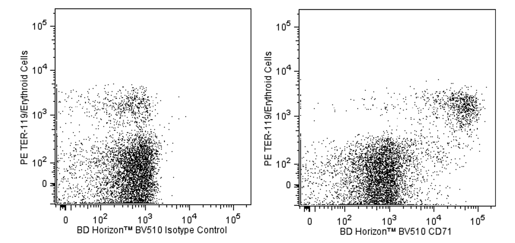 BV510 Rat Anti-Mouse CD71