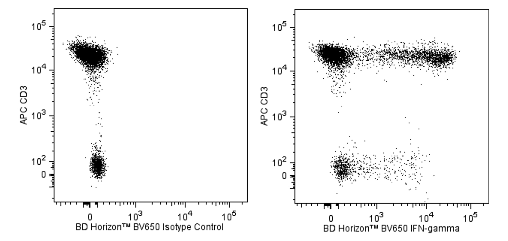 BV650 Mouse Anti-Human IFN-γ