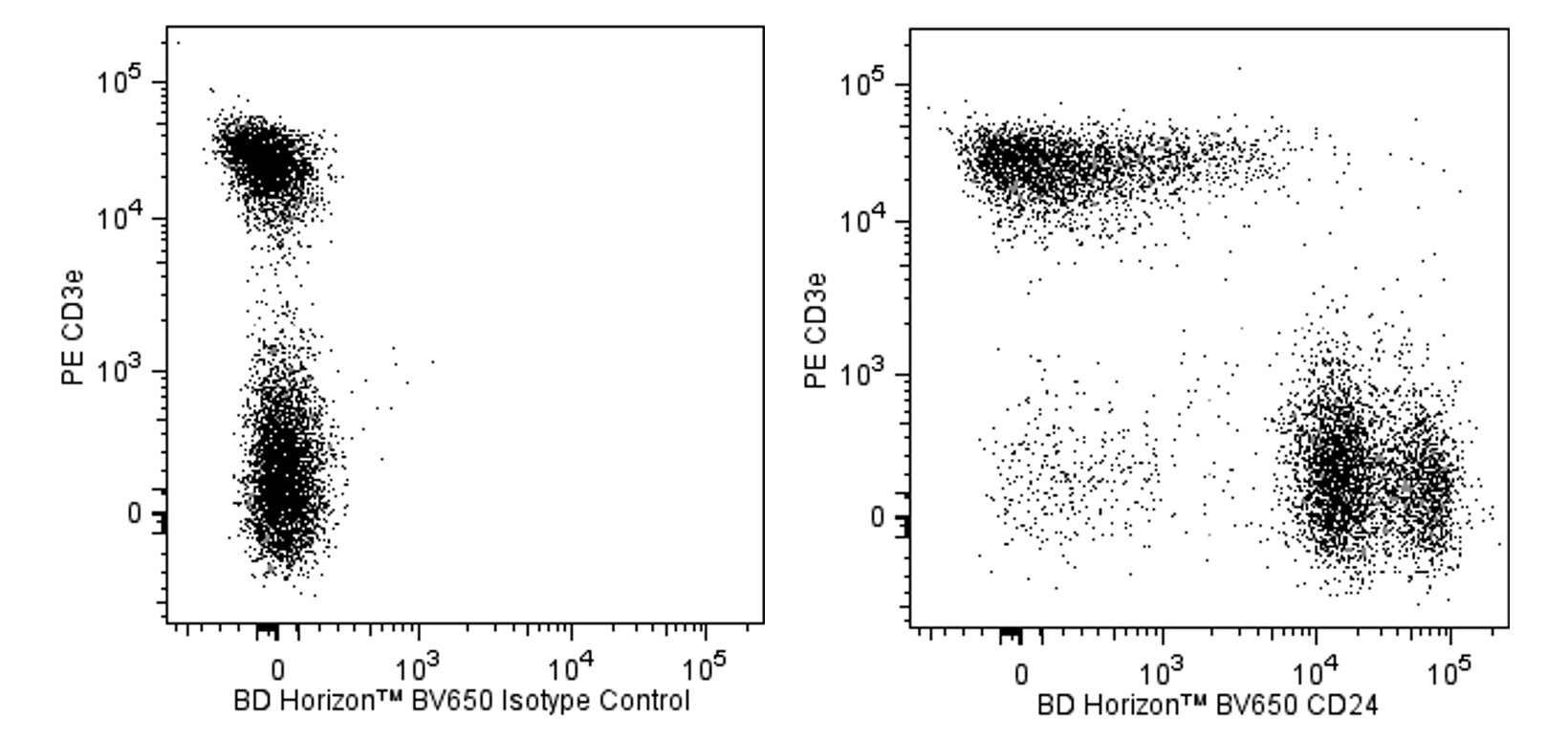 BV650 Rat Anti-Mouse CD24
