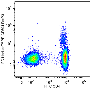 PE-CF594 Mouse Anti-Human FoxP3