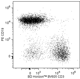 BV605 Rat Anti-Mouse CD3 Molecular Complex