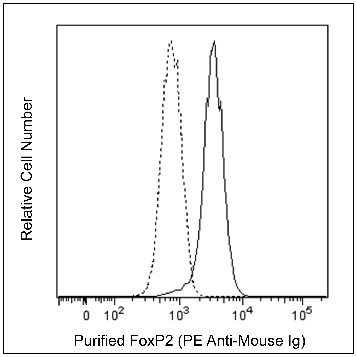 Purified Mouse Anti-FoxP2