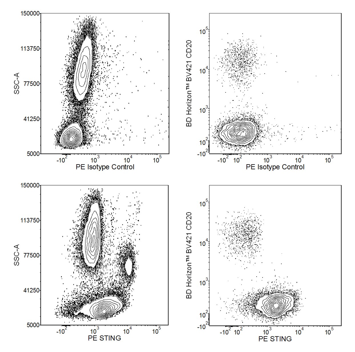 PE Mouse Anti-Human STING