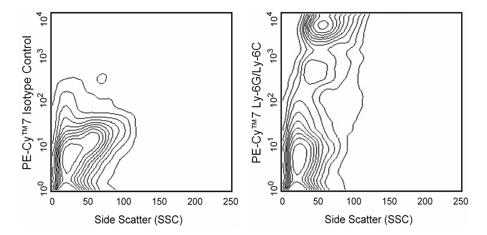 PE-Cy™7 Rat Anti-Mouse Ly-6G and Ly-6C