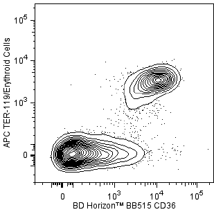 BB515 Mouse Anti-Mouse CD36