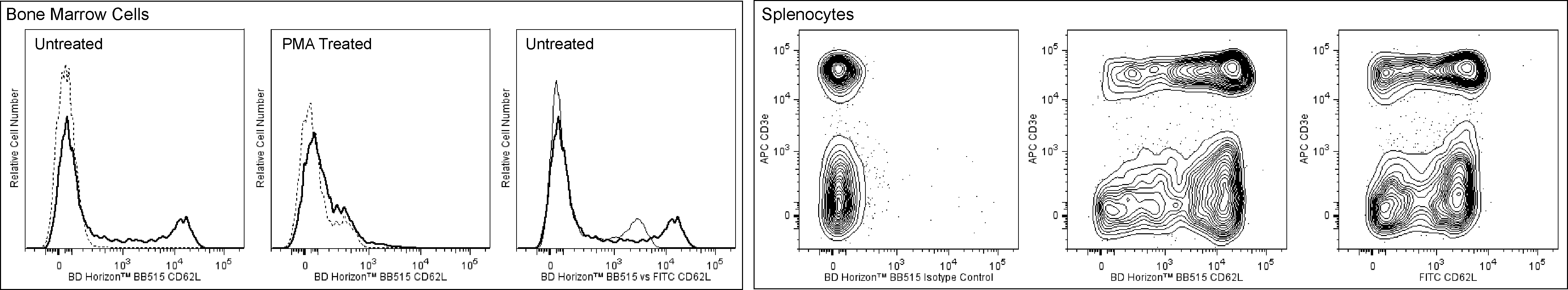 BB515 Rat Anti-Mouse CD62L