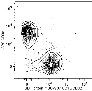 BUV737 Rat Anti-Mouse CD16/CD32