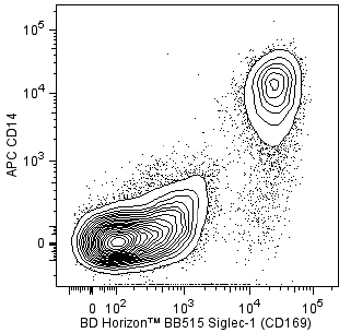 BB515 Mouse Anti-Human Siglec-1 (CD169)