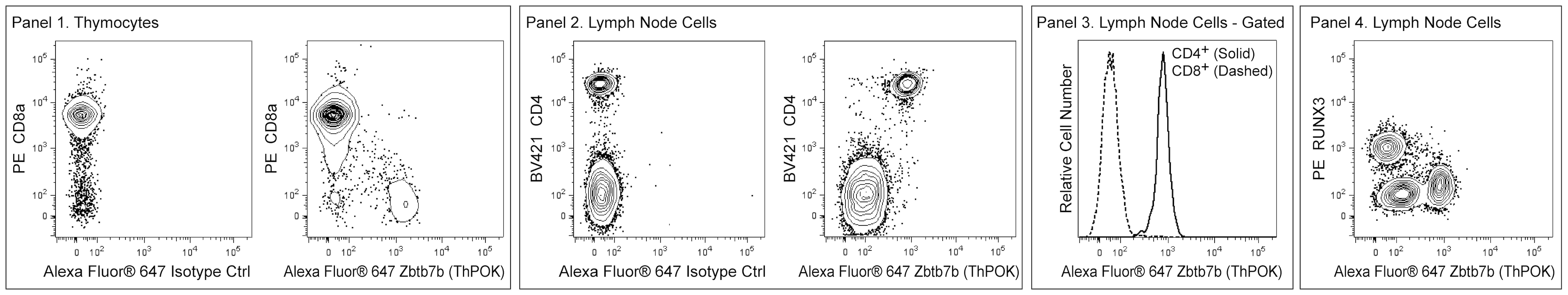 Alexa Fluor® 647 Rat Anti-Mouse Zbtb7b (ThPok)