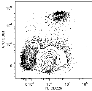 PE Rat Anti-Mouse CD226