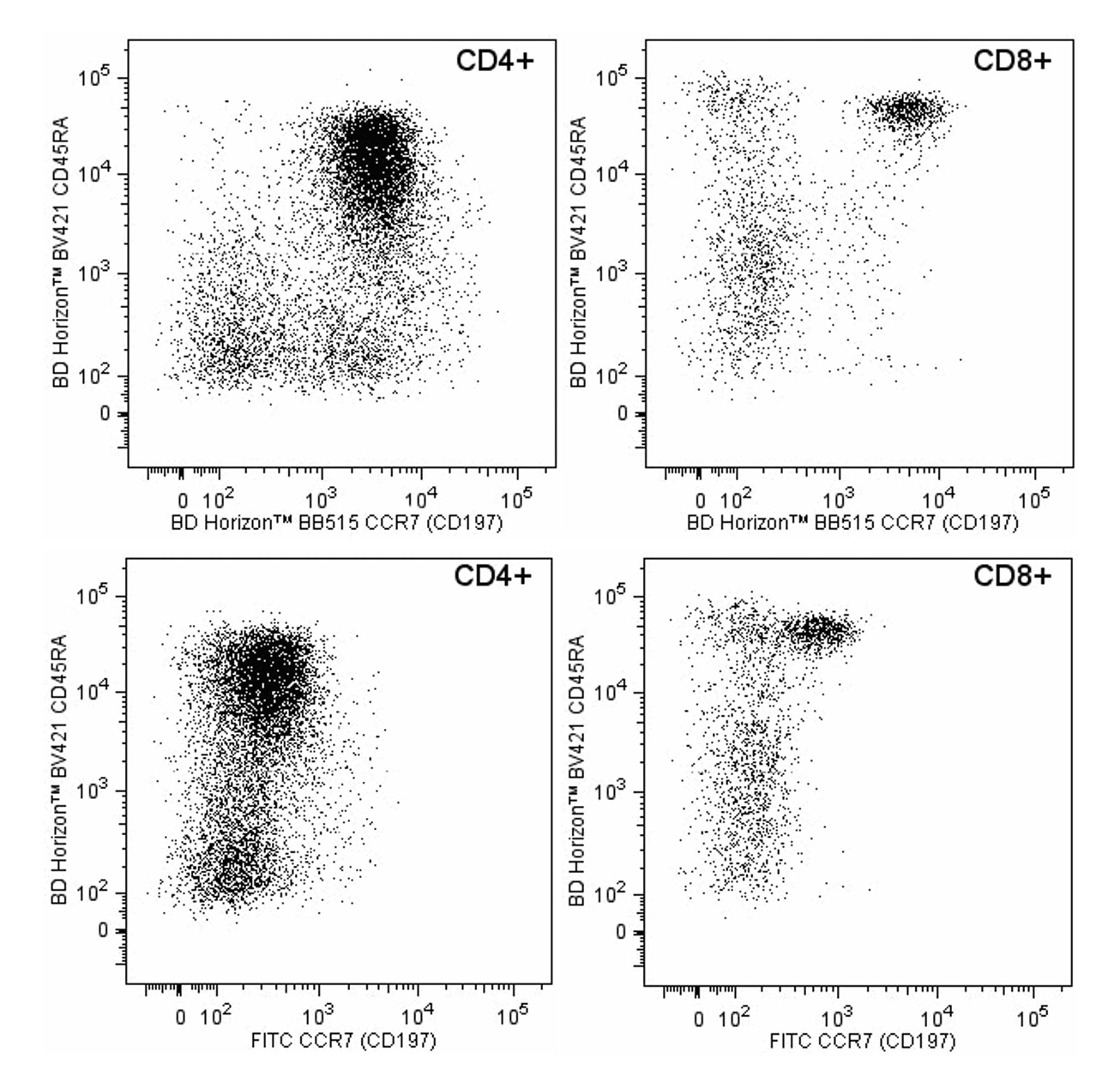 BB515 Rat Anti-Human CCR7 (CD197)