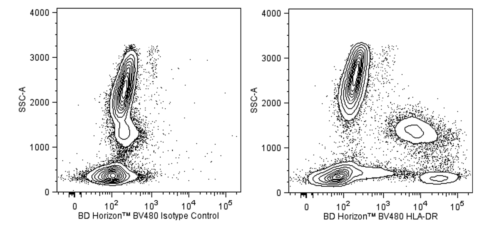 BV480 Mouse Anti-Human HLA-DR