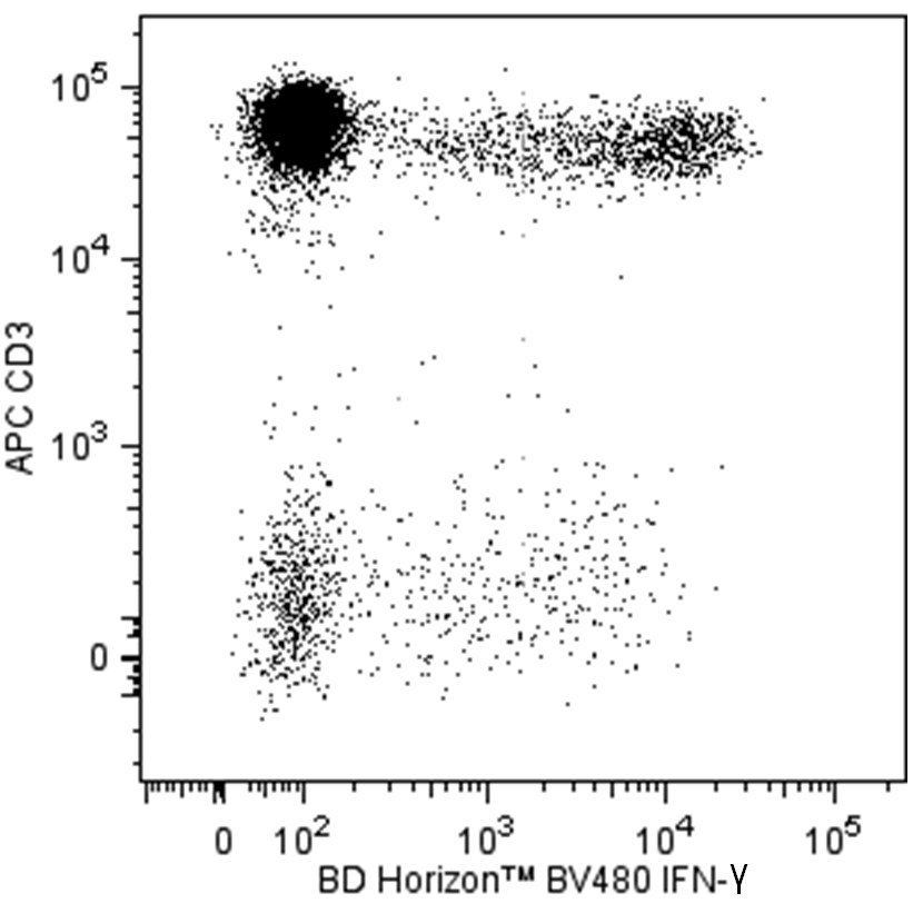 BV480 Mouse Anti-Human IFN-γ