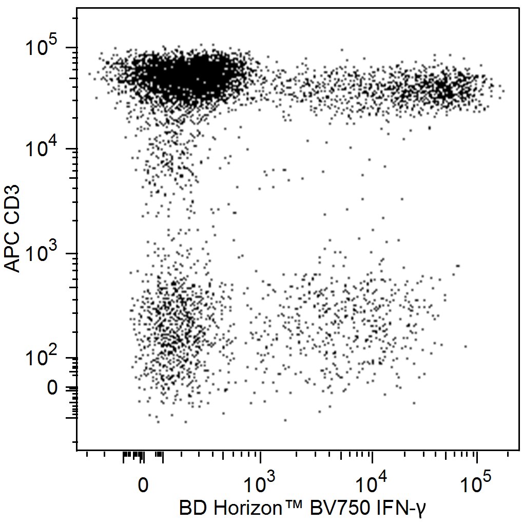 BV750 Mouse Anti-Human IFN-γ