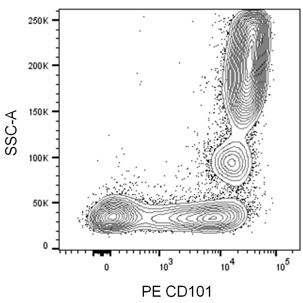 PE Mouse Anti-Human CD101