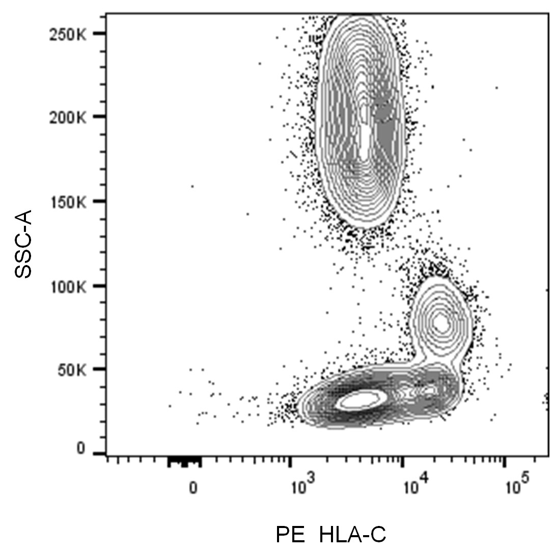 PE Mouse Anti-Human HLA-C