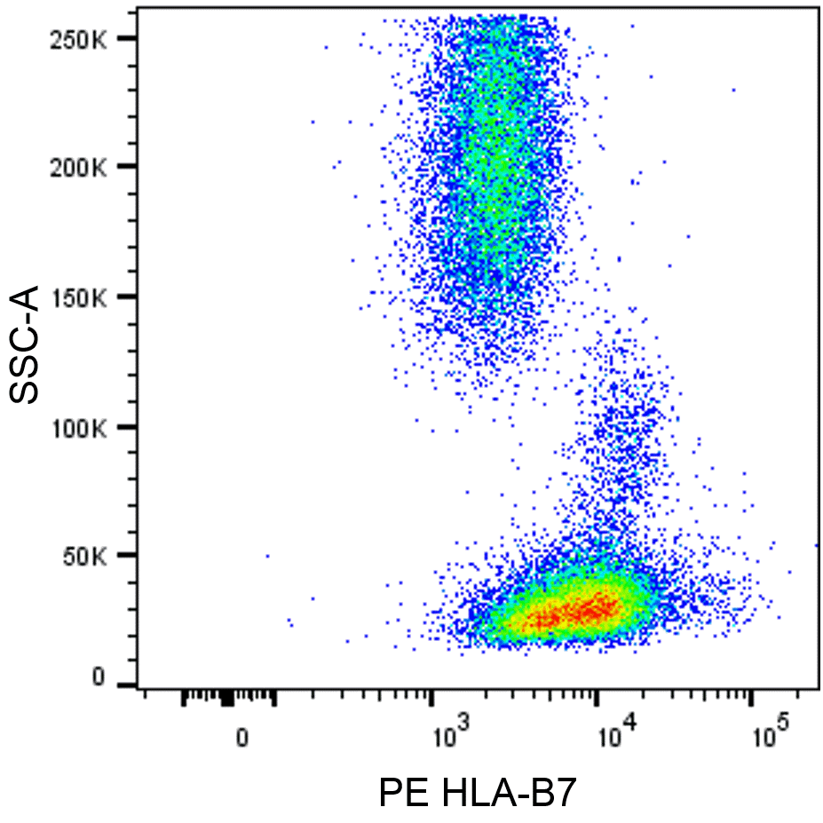 PE Mouse Anti-Human HLA-B7