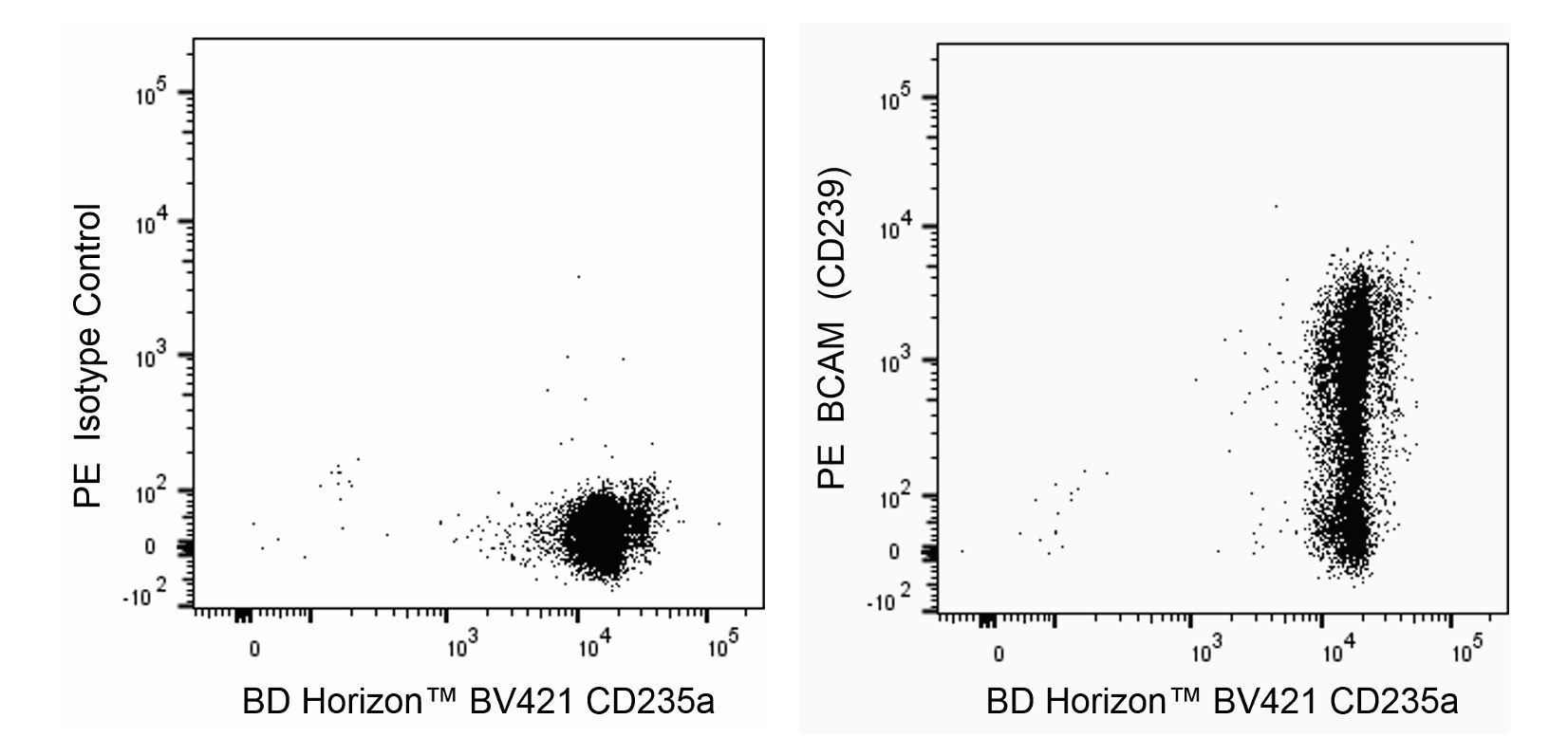 PE Mouse Anti-Human BCAM (CD239)