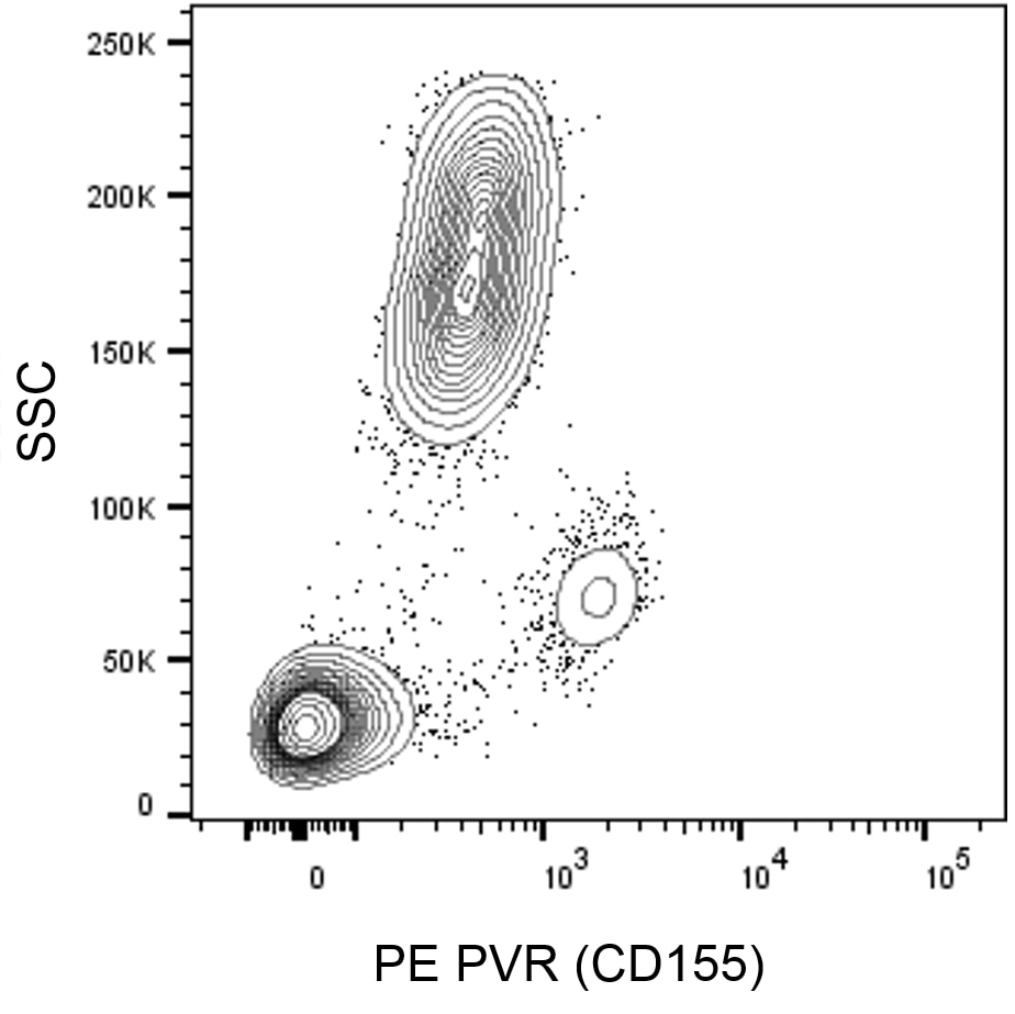 PE Mouse Anti-Human PVR (CD155)