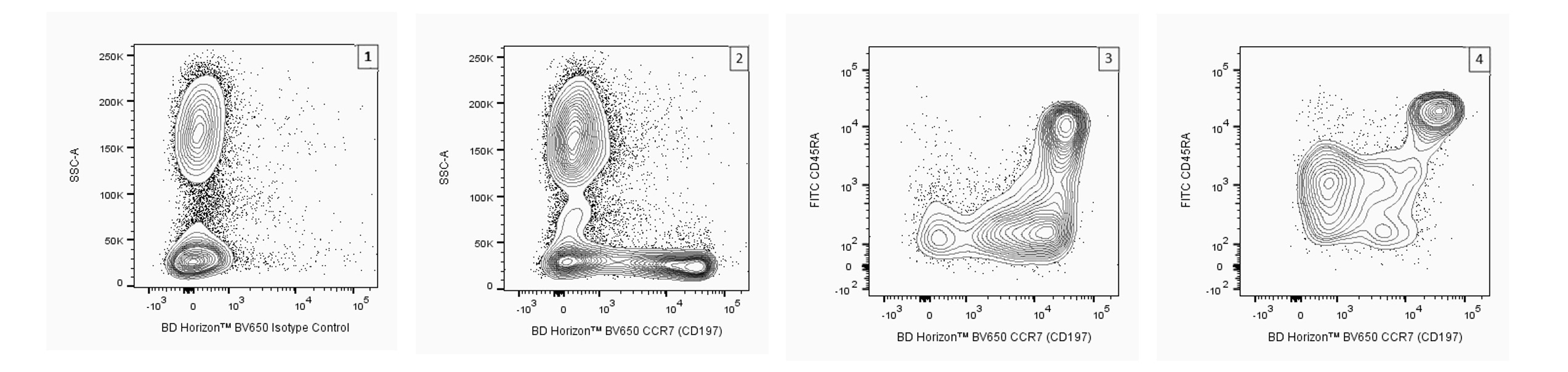 BV650 Mouse Anti-Human CCR7 (CD197)