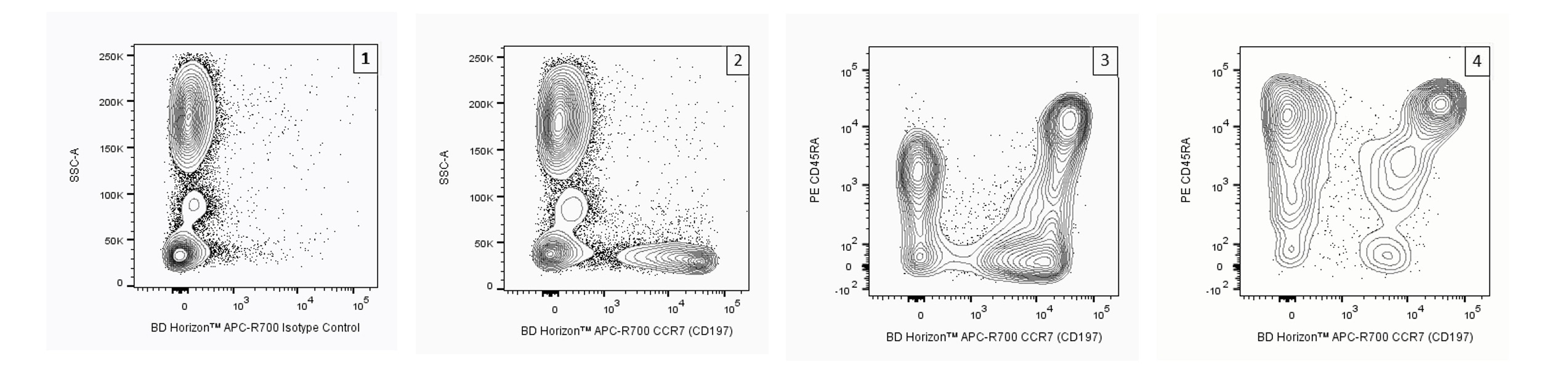 APC-R700 Mouse Anti-Human CCR7 (CD197)