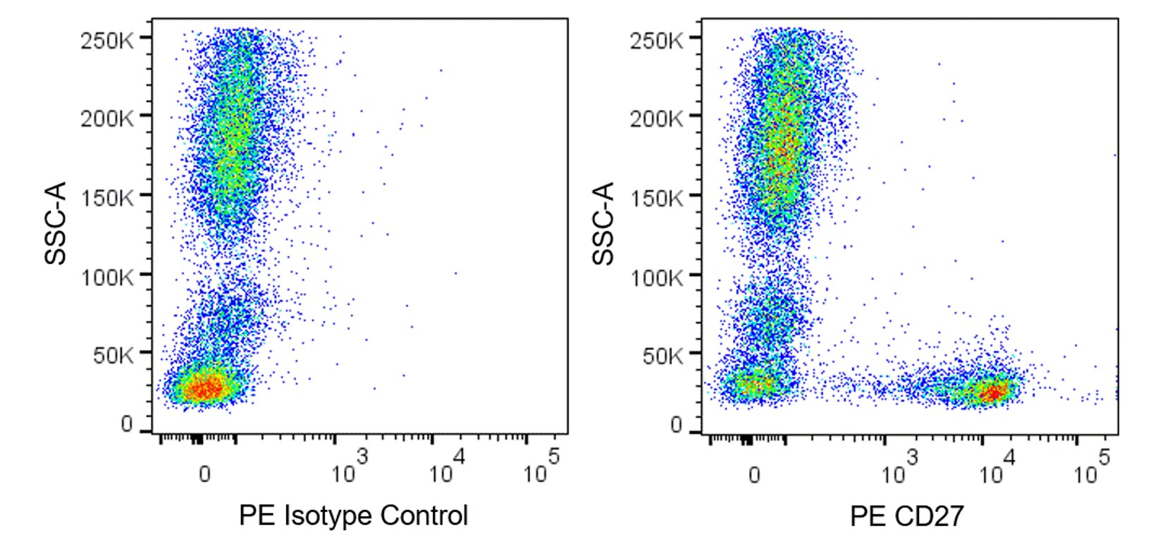 PE Mouse Anti-Human CD27