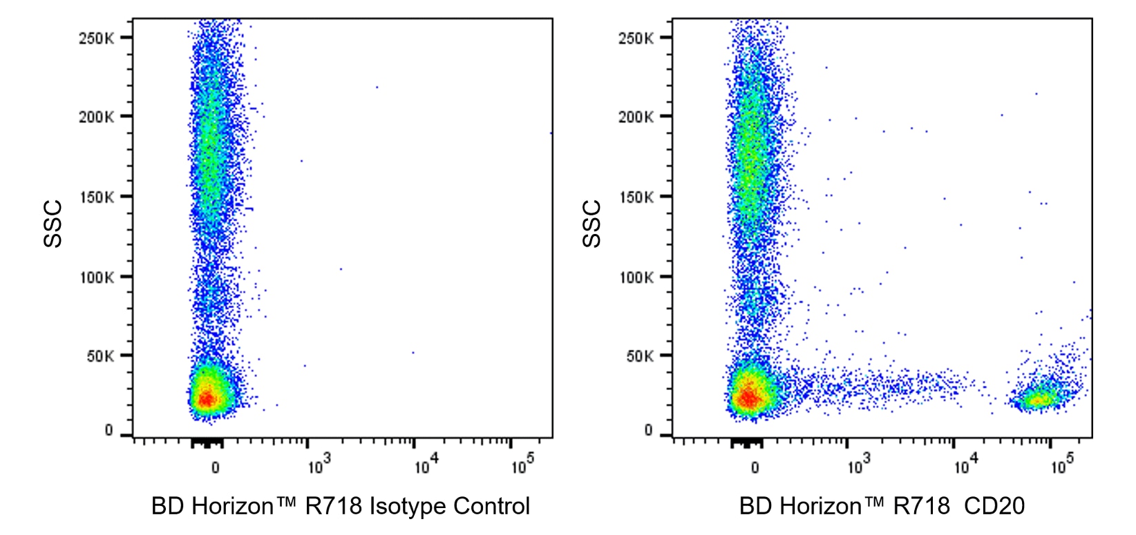 R718 Mouse Anti-Human CD20