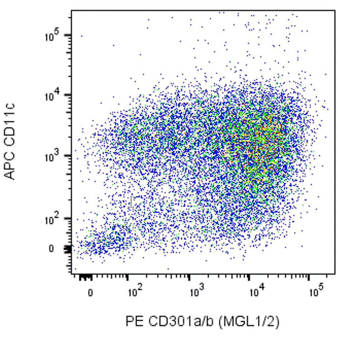 PE Rat Anti-Mouse CD301a/b (MGL1/2)