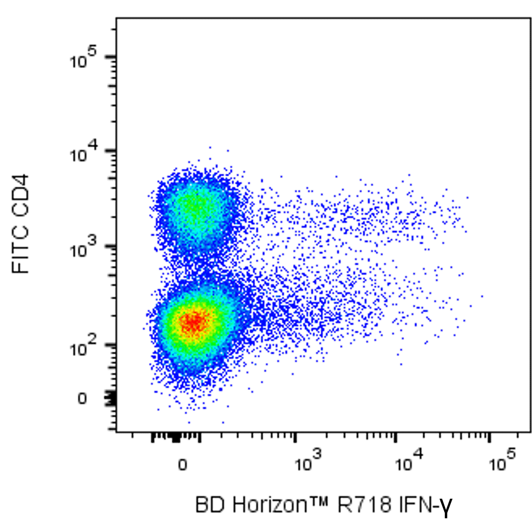 R718 Rat Anti-Mouse IFN-γ