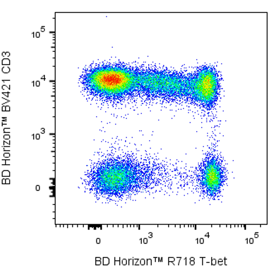 R718 Mouse Anti-T-bet