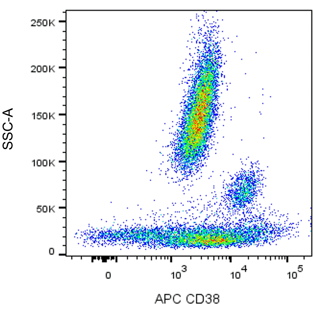APC Mouse Anti-Human CD38