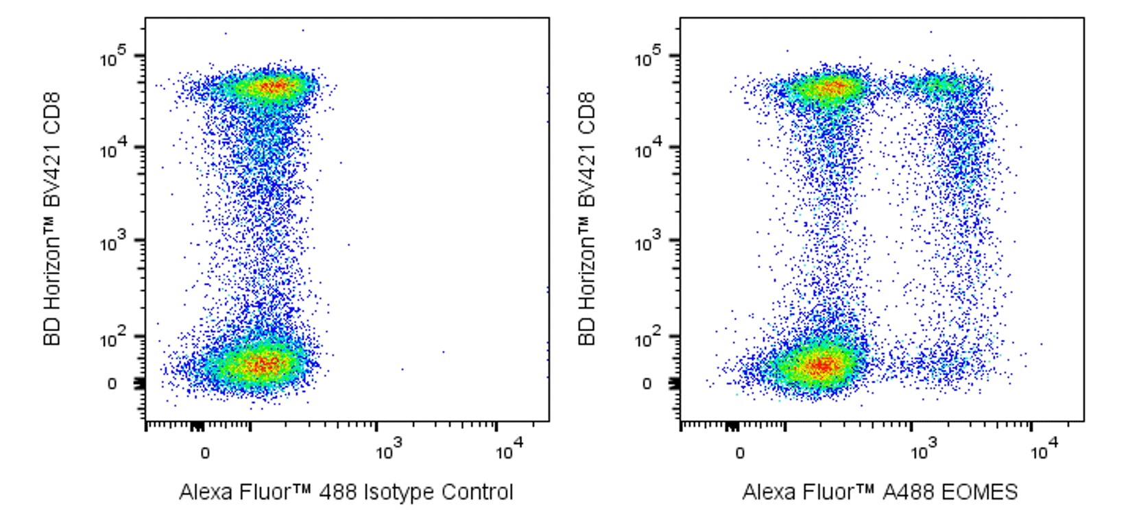 Alexa Fluor™ 488 Mouse Anti-EOMES