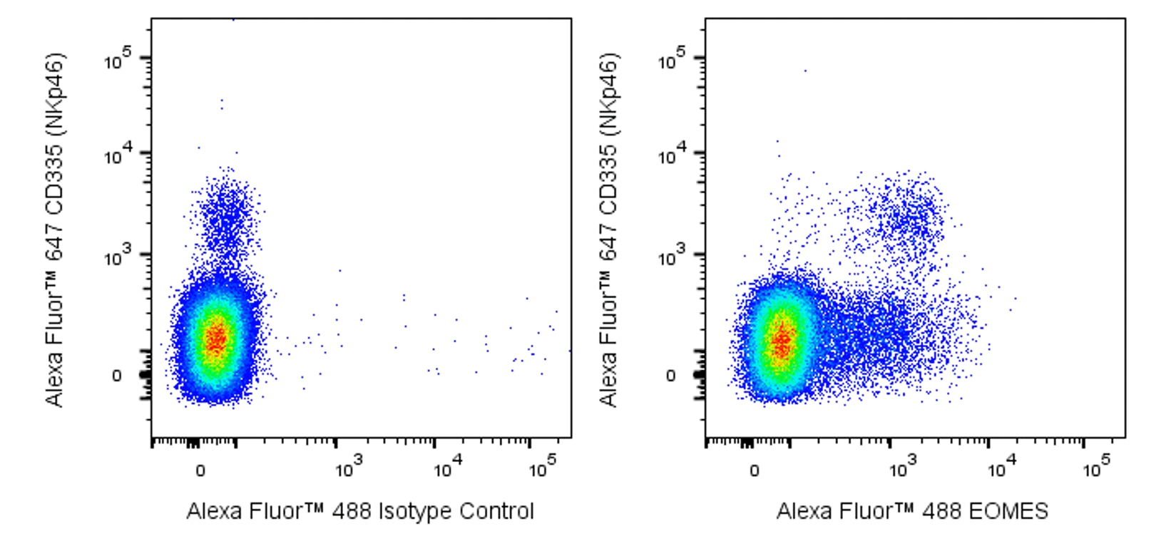 Alexa Fluor™ 488 Mouse Anti-EOMES