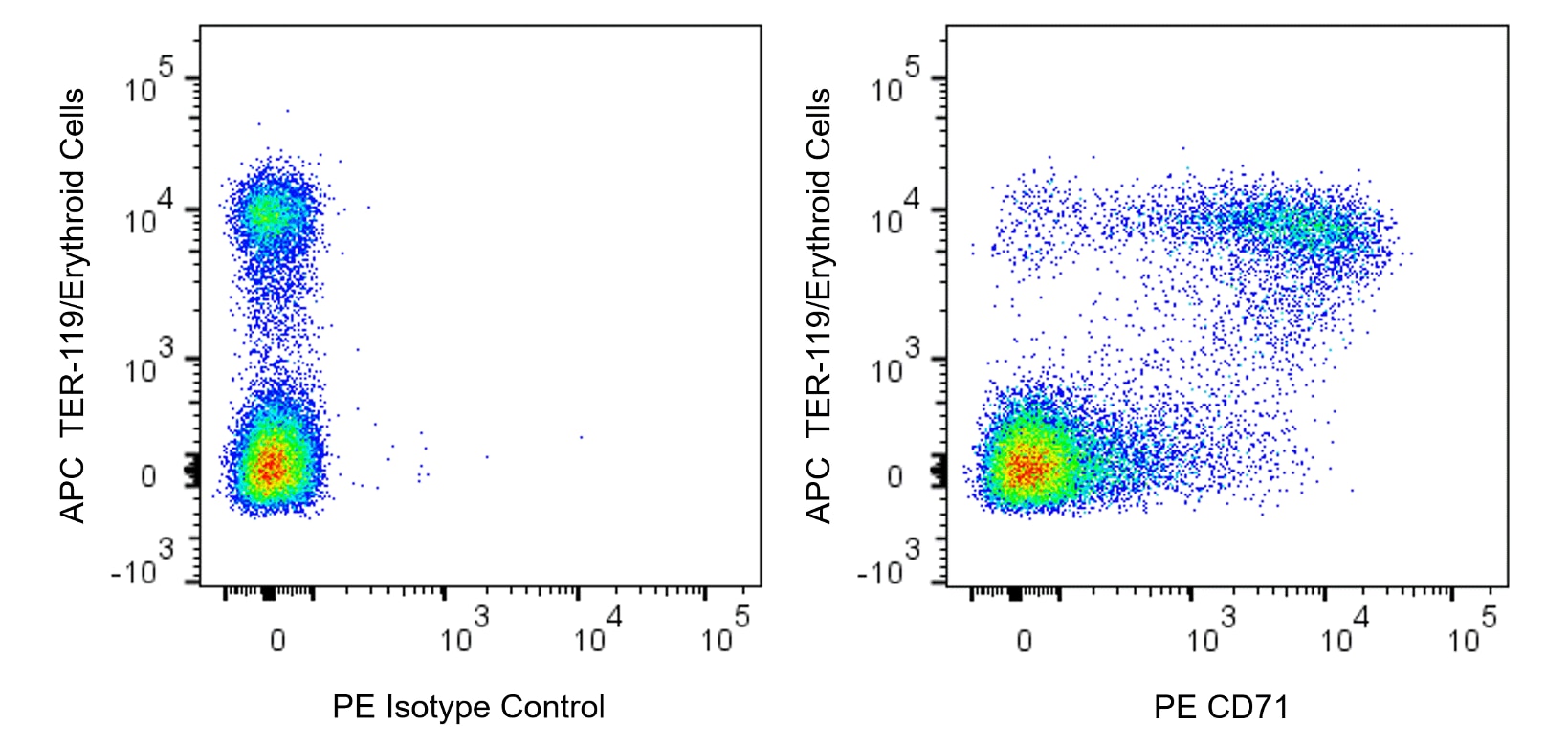 PE Rat Anti-Mouse CD71