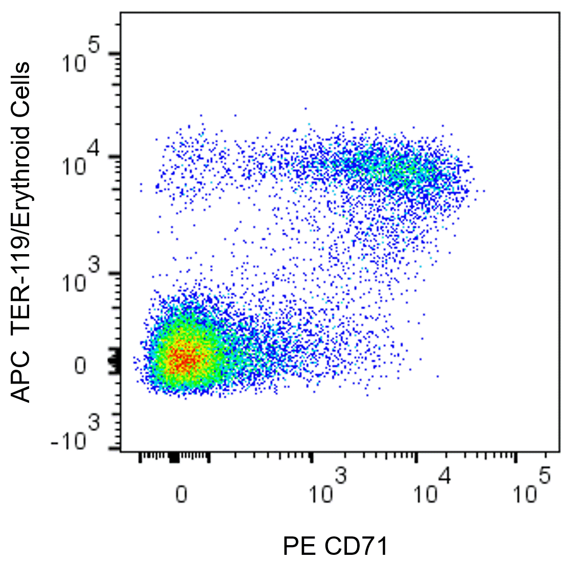 PE Rat Anti-Mouse CD71