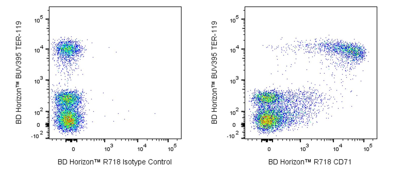 R718 Rat Anti-Mouse CD71