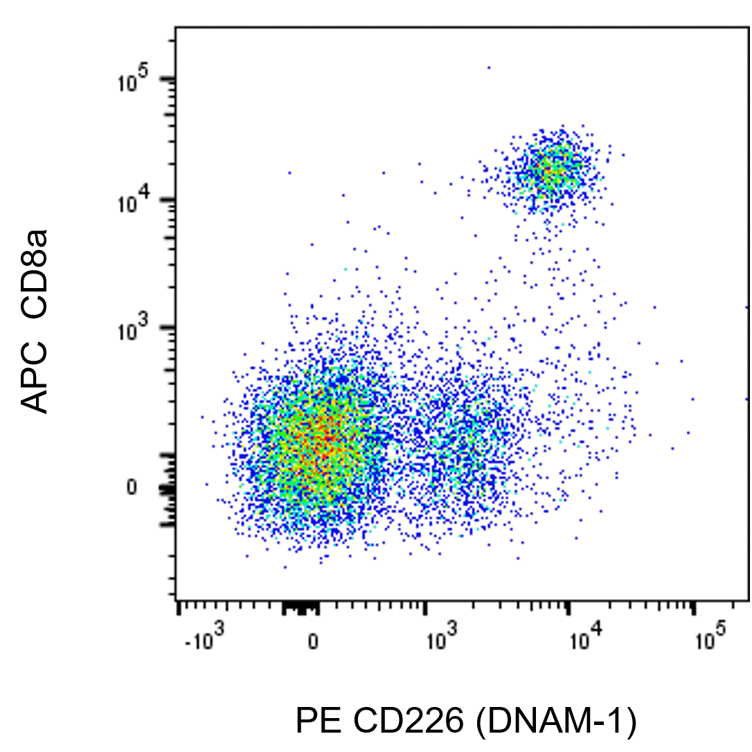 PE Rat Anti-Mouse CD226 (DNAM-1)