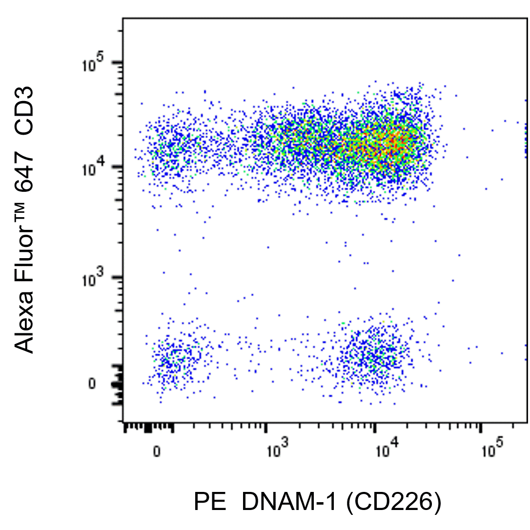 PE Mouse Anti-Human DNAM-1 (CD226)