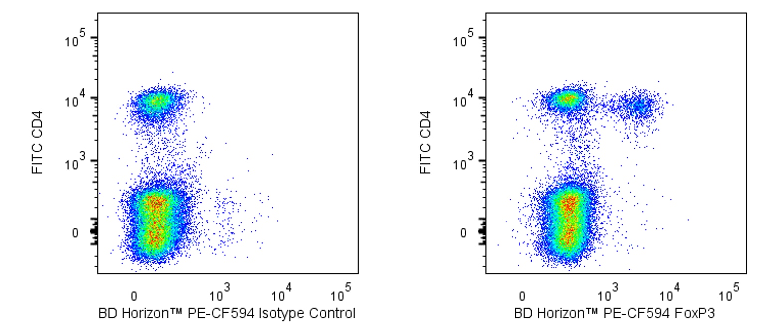 PE-CF594 Rat Anti-Mouse FoxP3