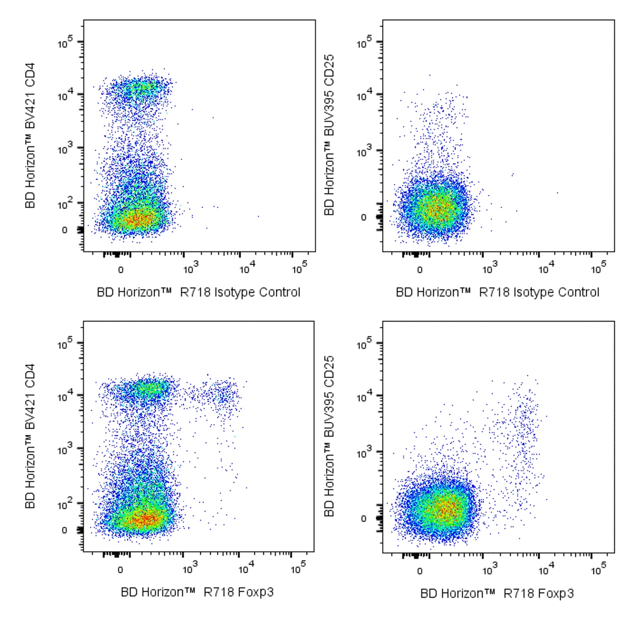 R718 Mouse Anti-Mouse Foxp3