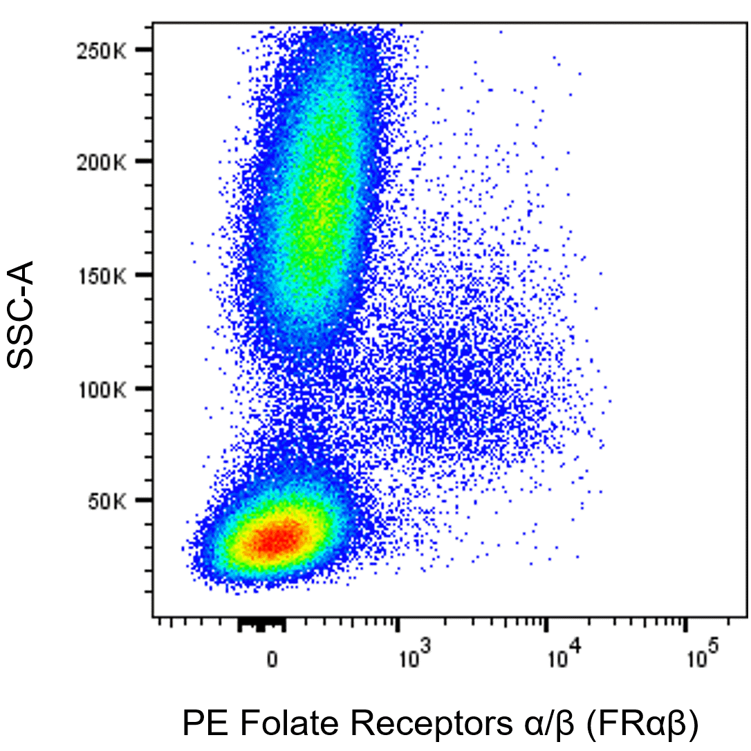 PE Rat Anti-Human Folate Receptors α/β (FRαβ)