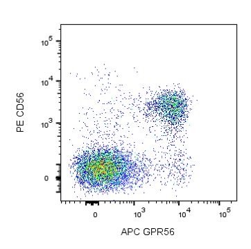 APC Mouse Anti-Human GPR56