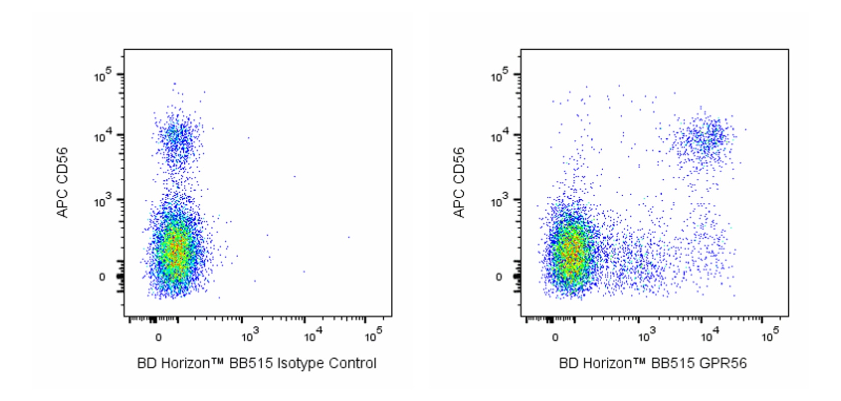 BB515 Mouse Anti-Human GPR56