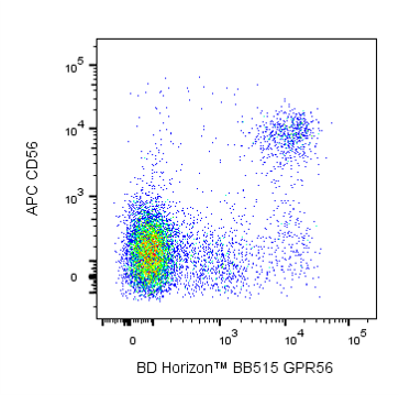 BB515 Mouse Anti-Human GPR56